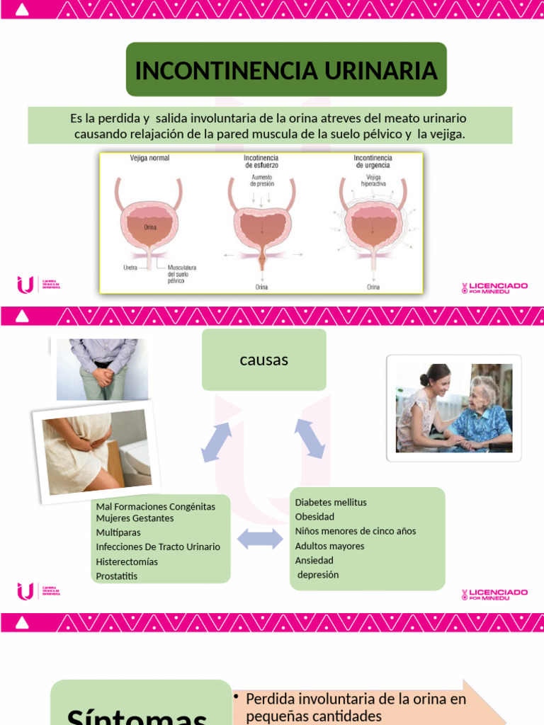 INCONTINENCIA URINARIA (1)-2 | PDF