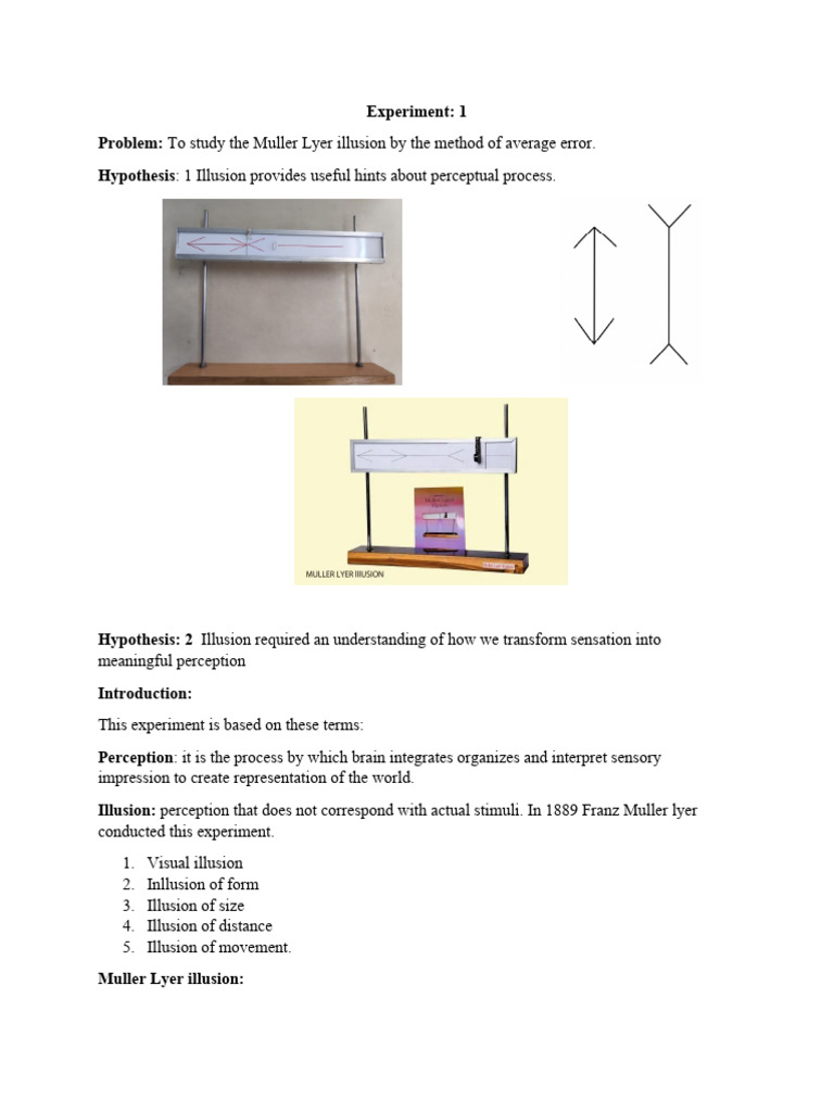 Muller Lyer(1) | PDF