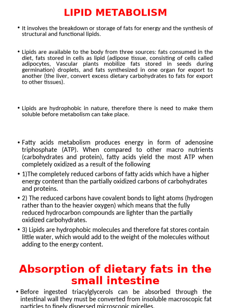 Understanding Lipid Metabolism Processes | PDF | Fatty Acid | Lipid