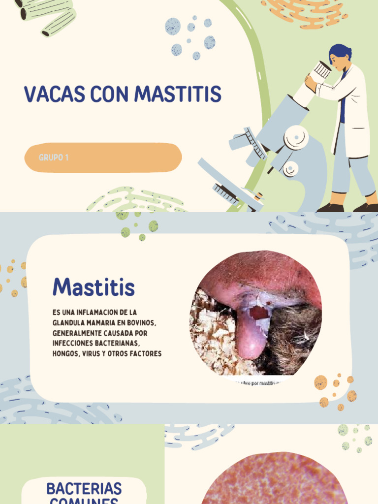 Grupo 1 Vacas Con Mastitis | PDF