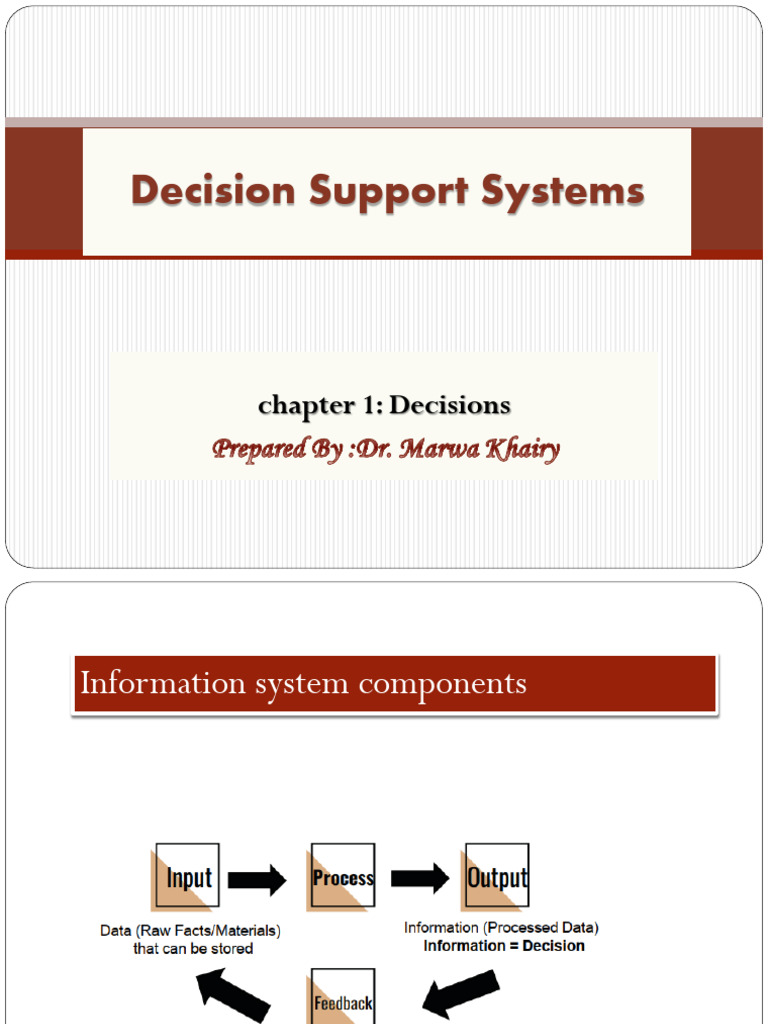 DSS ch1 2024 | PDF | Decision Making | Business