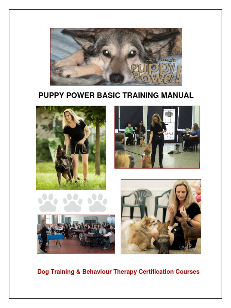 Puppy Power Basic Training Manual | PDF | Dogs | Dog Training