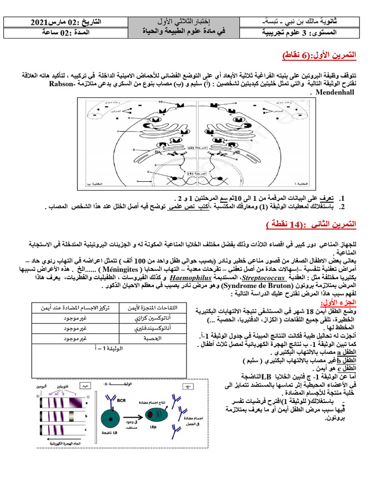 Dzexams 3as Sciences 1324930 | PDF