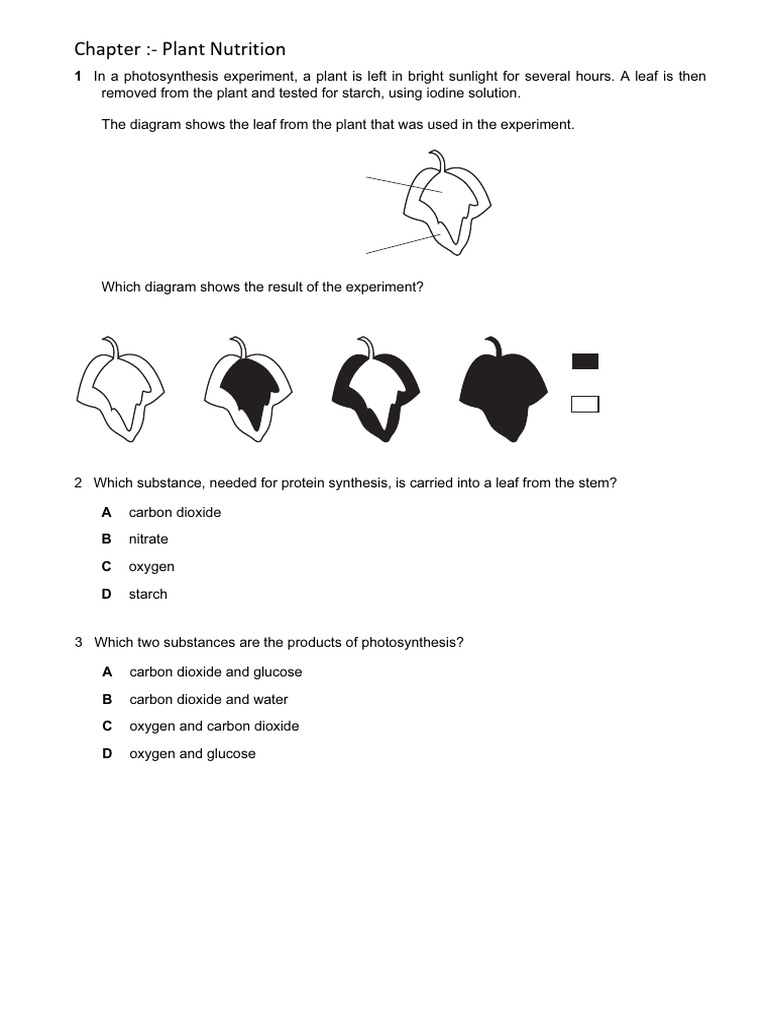 Biology Quiz: Plant Nutrition | PDF | Photosynthesis | Leaf