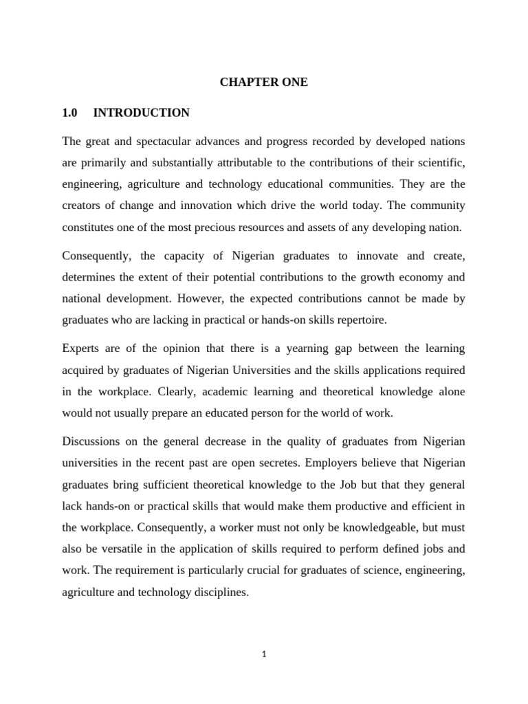 Chukwudi Elijah's I.T. Report | PDF | Libraries | Books