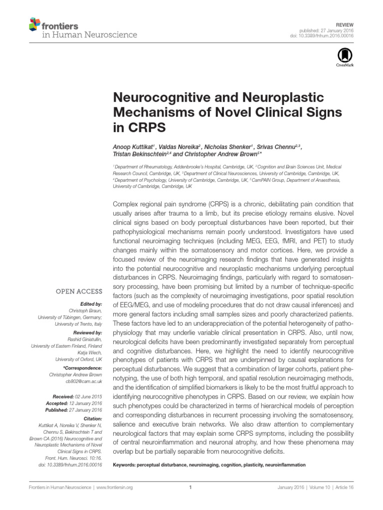 Neuroplasticity CRPS | PDF | Magnetoencephalography | Prefrontal Cortex