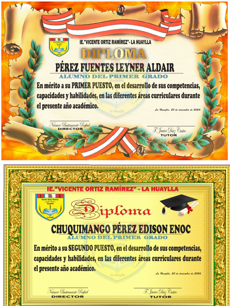 Diplomas de Mérito Académico 2024 | PDF