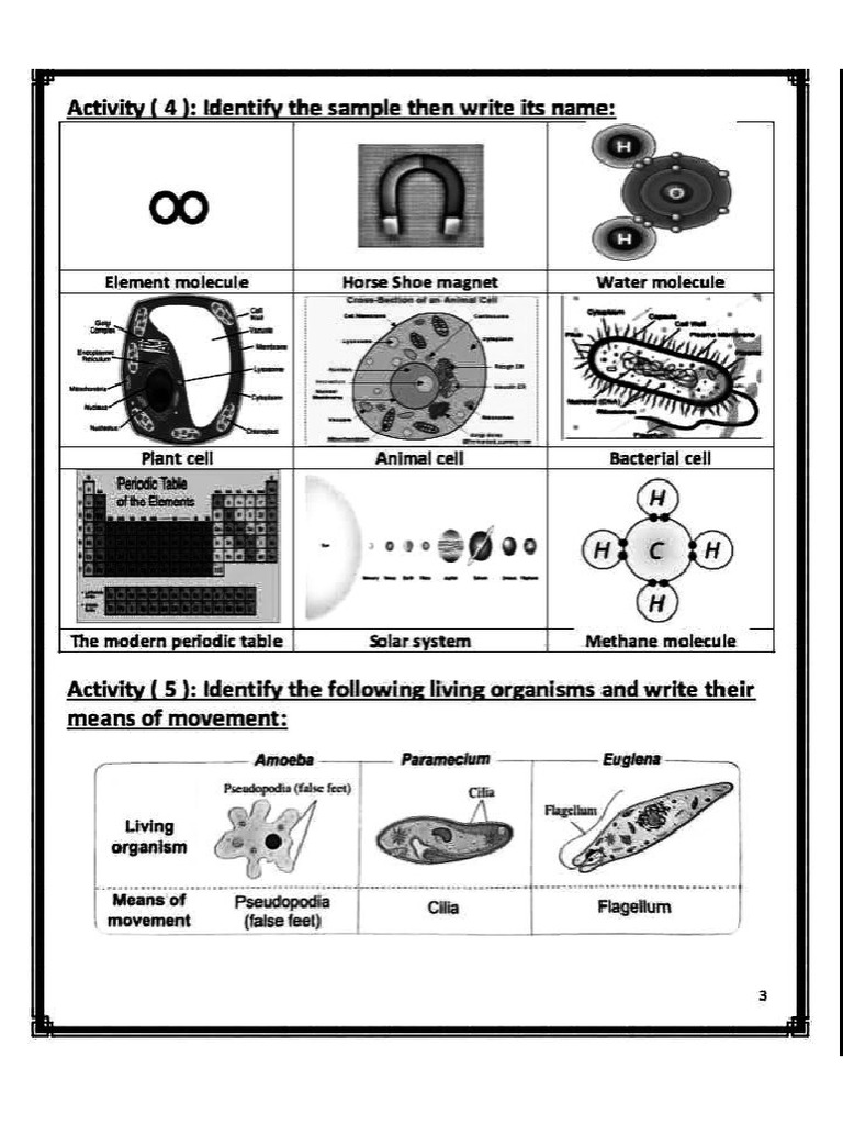 Practical Revision Sheet Grade 7 | PDF