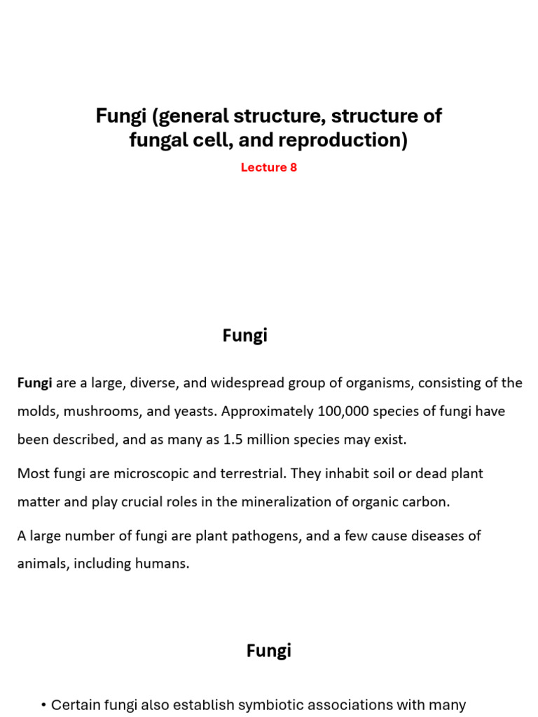 Fungi (General Structure, Structure of Fungal Lecture 8 | PDF | Fungus ...