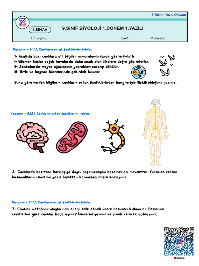 9 Sinif Biyoloji Ortak Yazili Sorulari Ornek Biosem 1.donem 1.yazili | PDF