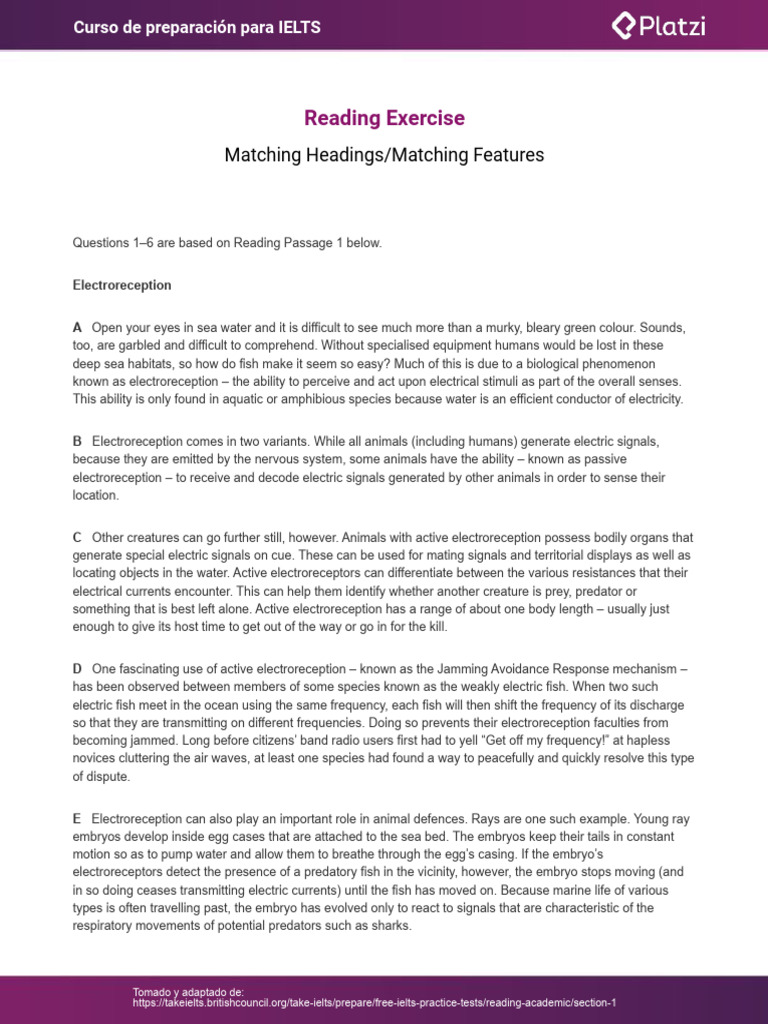 reading-matching-headings_matching-features_cafbe512-69bf-48ca-8ca3-70112cc52e7c | PDF | Sharks ...