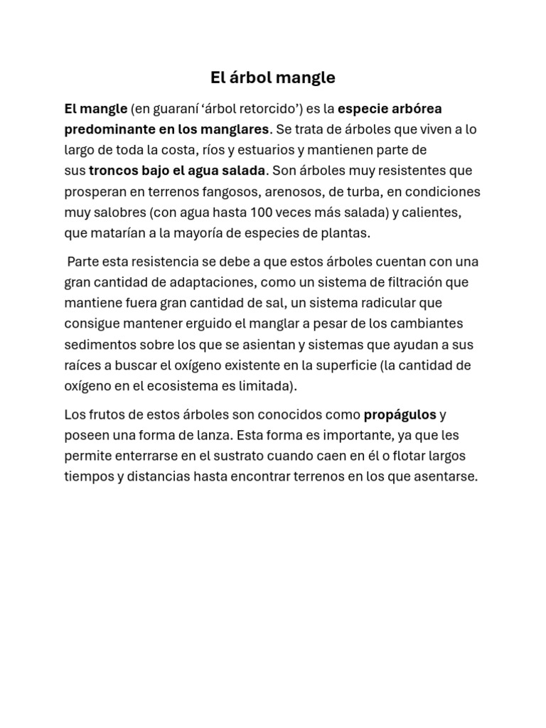 El árbol mangle | PDF