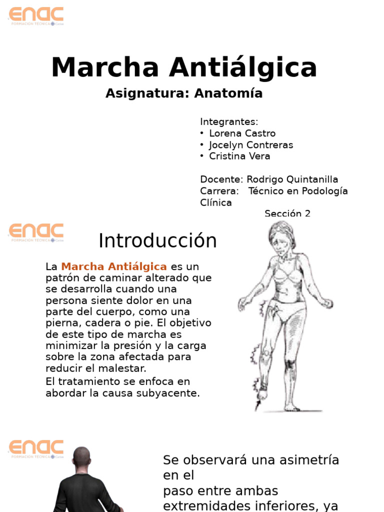 Marcha Antiálgica | PDF | Rodilla | Hueso
