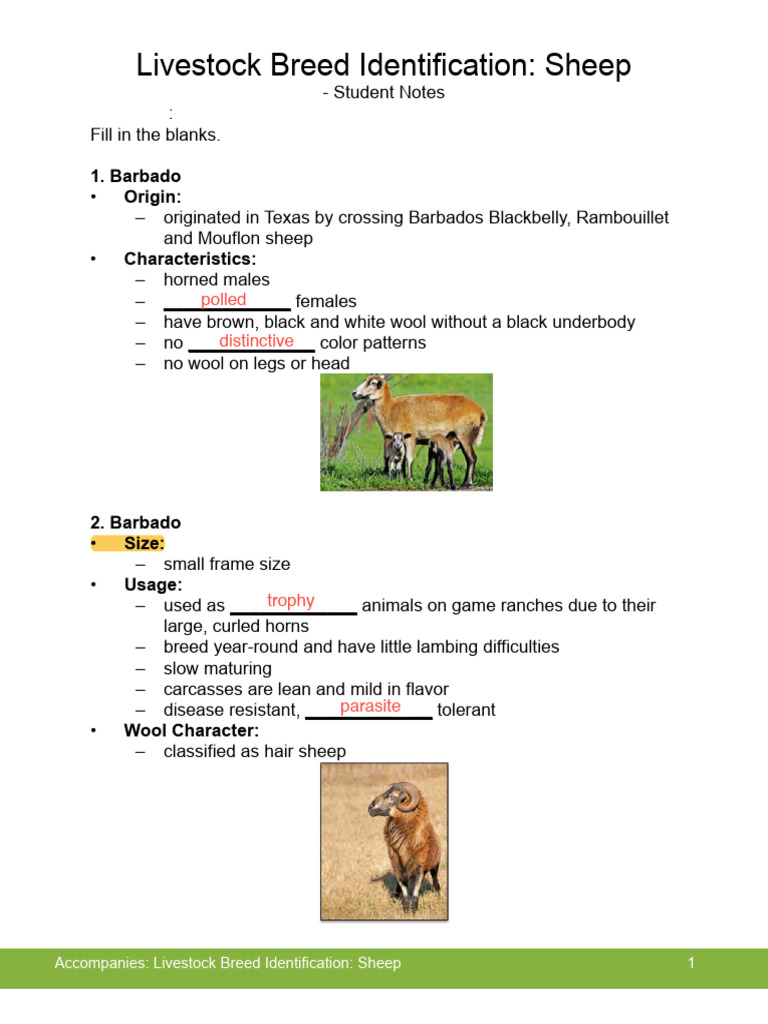 Sheep ID Worksheet | PDF | Sheep | Wool