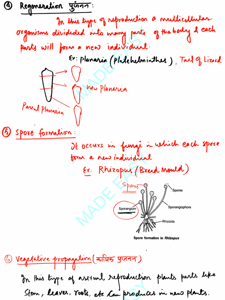 3538359made Easy Class-9 Watermark | PDF