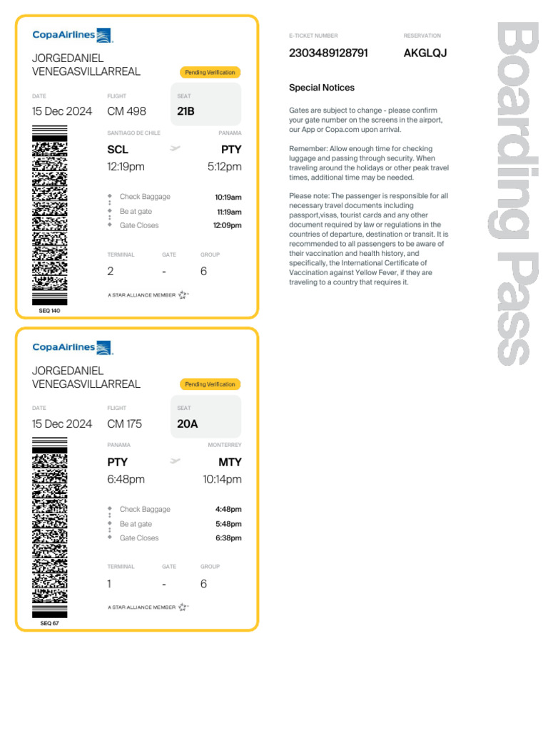 Boarding Pass | PDF | Baggage
