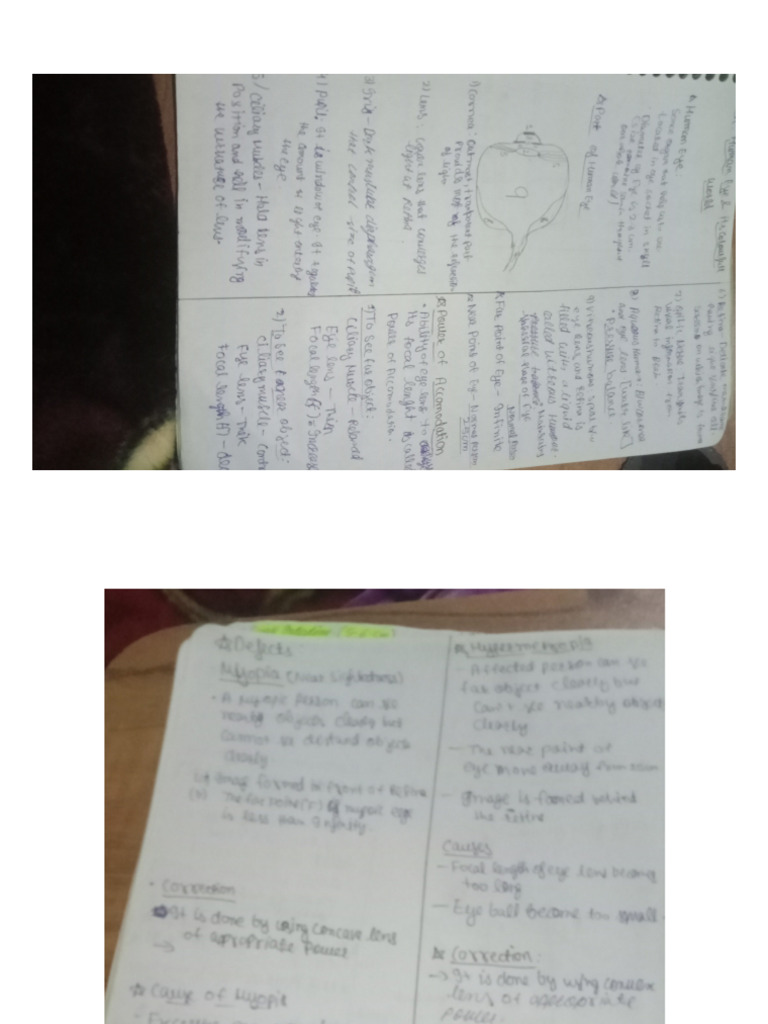 Class Topper Class Notes Ch13 | PDF