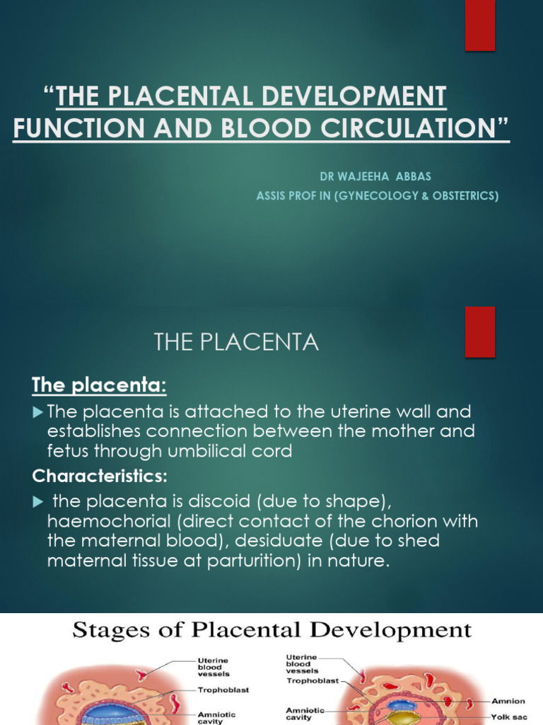 Development of Placenta and Membranes-1 | PDF | Placenta | Artery