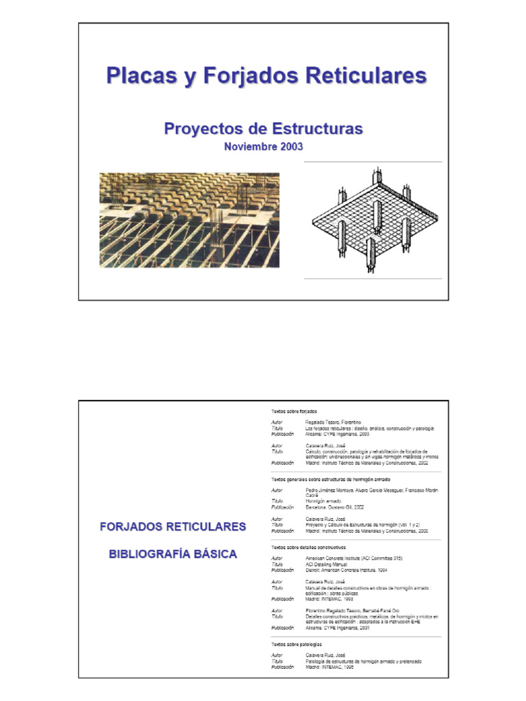 Placas y Forjados Reticulares: Guía Completa | PDF