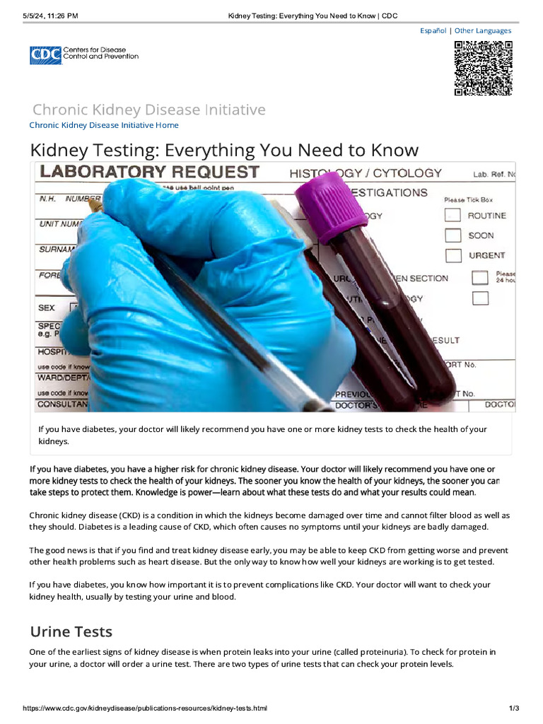 Kidney Testing - Everything You Need To Know | PDF