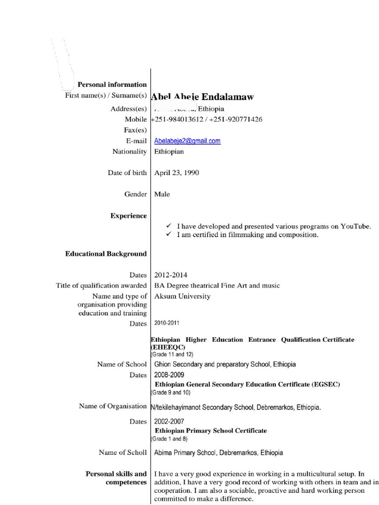 Abel Abeje CV (1)pdf_240525_073316 | PDF