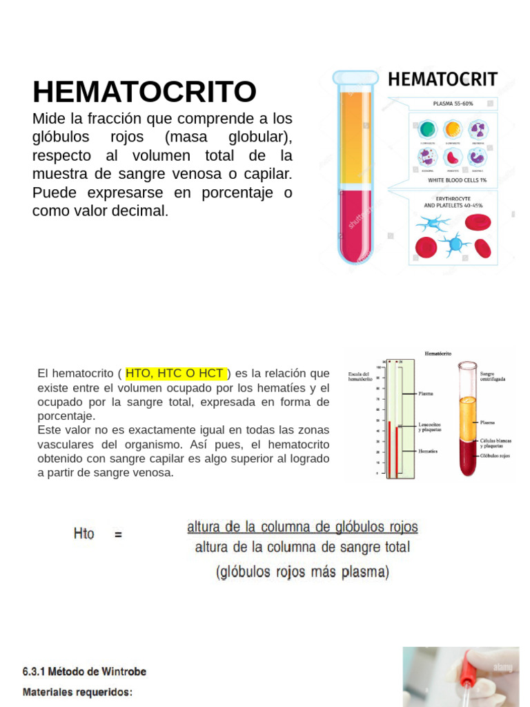 Guía de Cálculo del Hematocrito | PDF