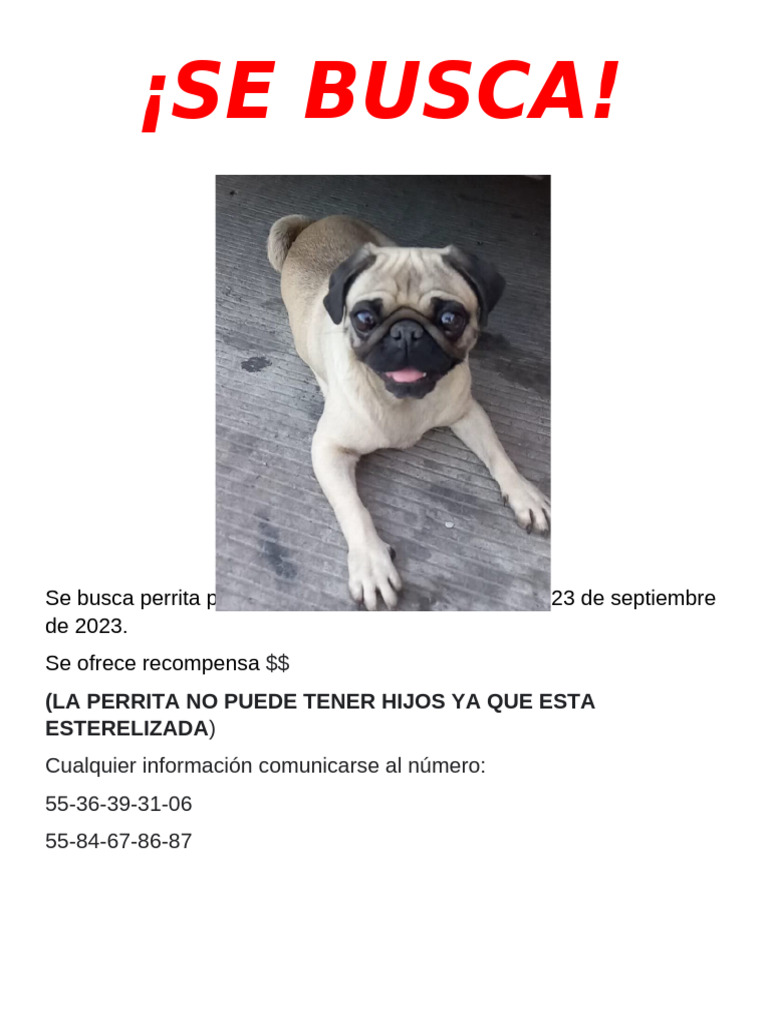 Se Busca | PDF