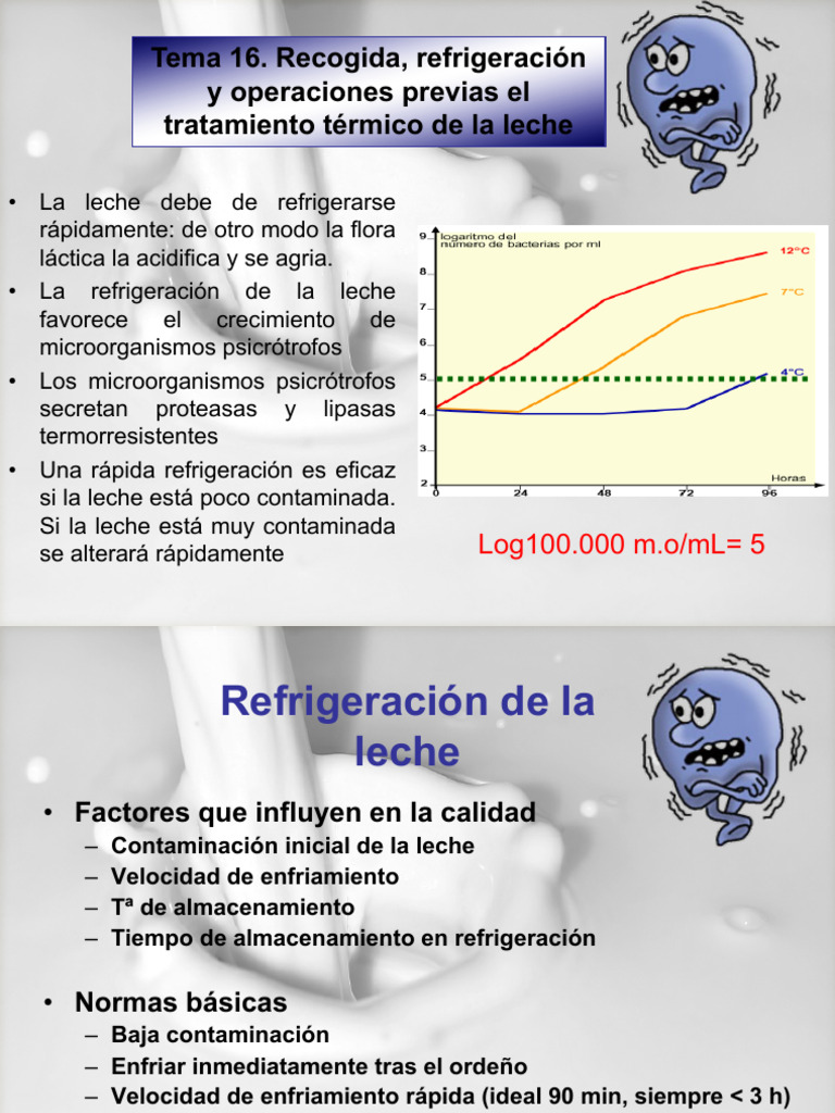 T 16. Refri y op previas | PDF | Leche