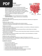 Cirugia Hartmann | PDF | Intestino grueso | Cirugía