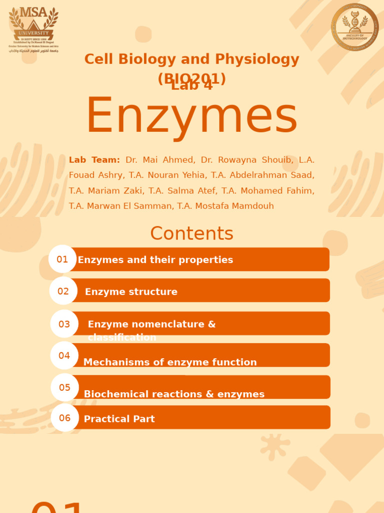 Lab 4 - Enzymes (Fall 2024) | PDF | Enzyme | Fermentation