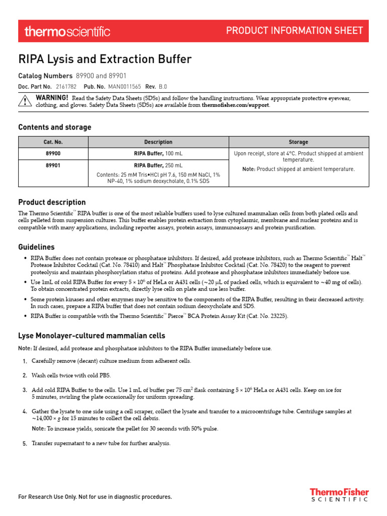ProtocolRIPA Lysis and Extraction Buffer | PDF | Lysis | Protein ...
