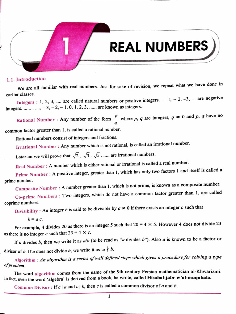 Spectrum Mathematics X Real Numbers | PDF