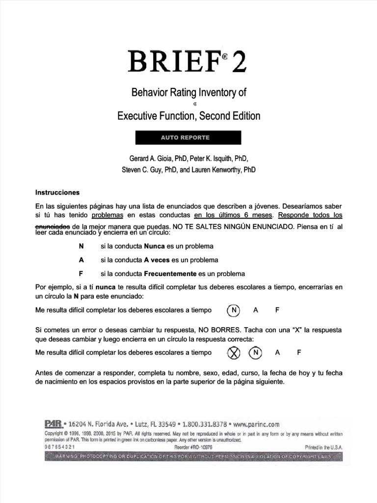 BRIEF 2-Alumno | PDF