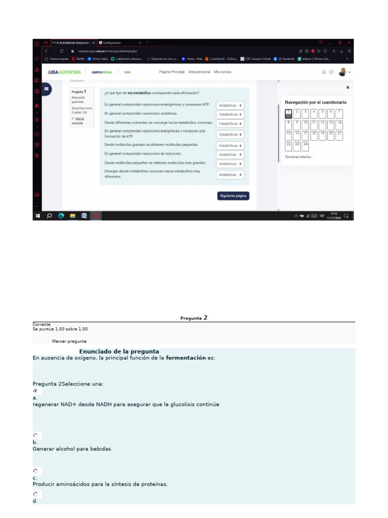 preguntas 4 | PDF | Glucólisis | Dieta y nutrición