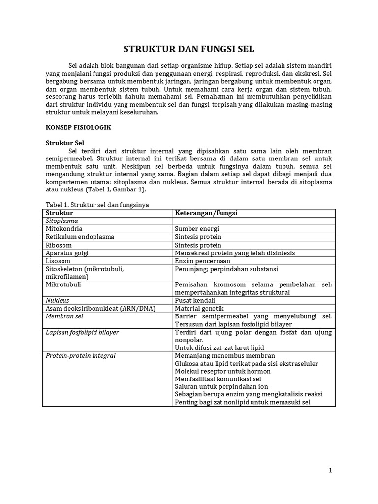 yok ayo belajar patof | PDF