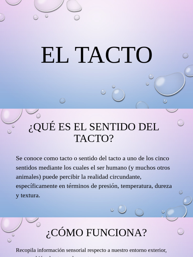 El sentido del tacto y su función | PDF | Sentidos | Sistema nervioso