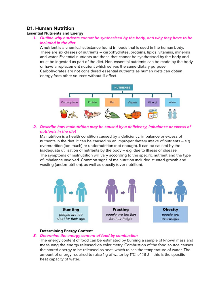 IB Biology Option D - Human Physiology Notes | PDF | Heart Valve | Heart