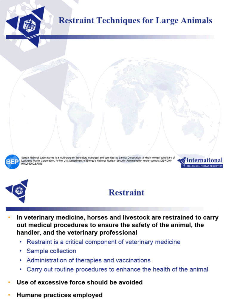 Large Animal Restraint Guide | PDF