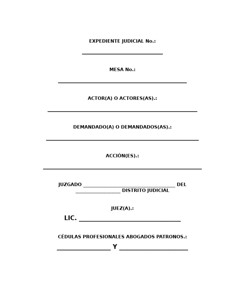 Formato Carátula Expediente Judicial | PDF