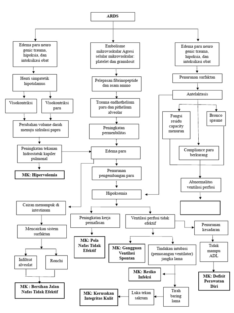 Pathway ARDS Baru | PDF