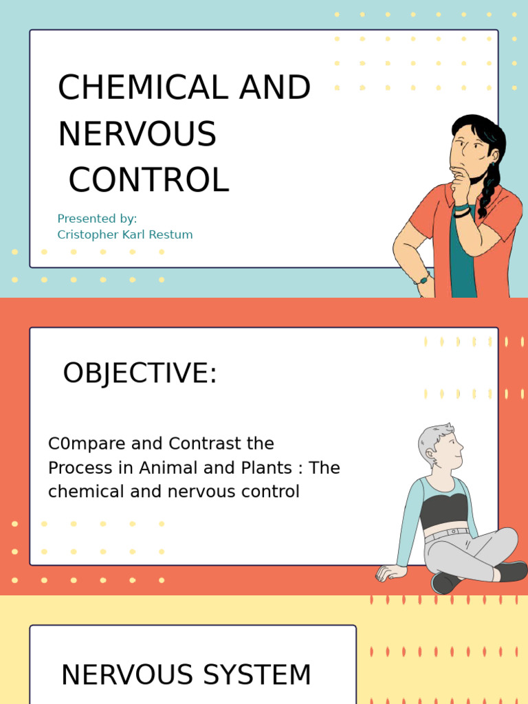 Chemical and Nervous Control in Human | PDF | Nervous System ...