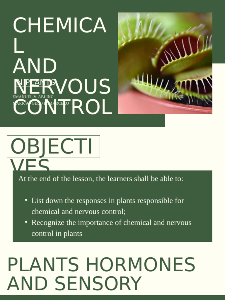 Chemical and Nervous Control in Plants | PDF | Plant Hormone | Auxin