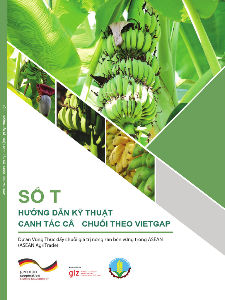 So Tay HD Qua Chuoi View | PDF