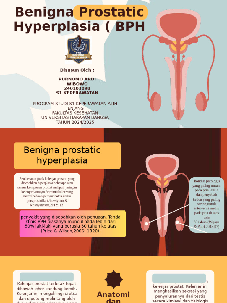 Benigna Prostatic Hyperplasia (BPH) | PDF
