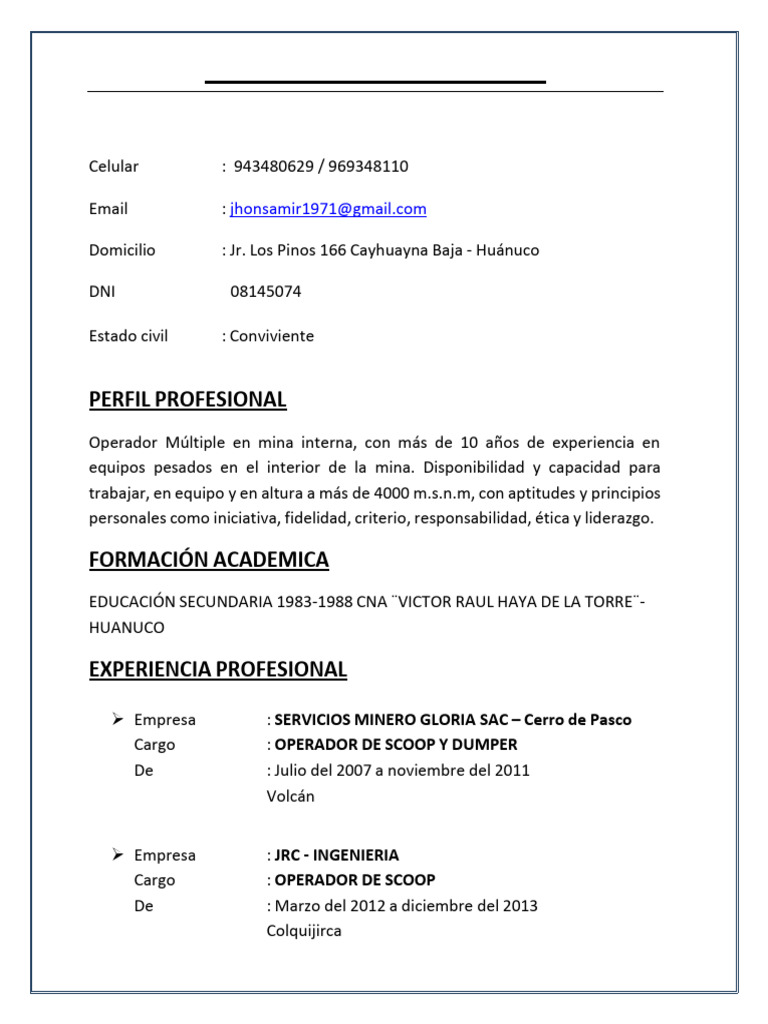 Curriculum Vitae: PUJAY PEÑA, Jhon Nilo | PDF