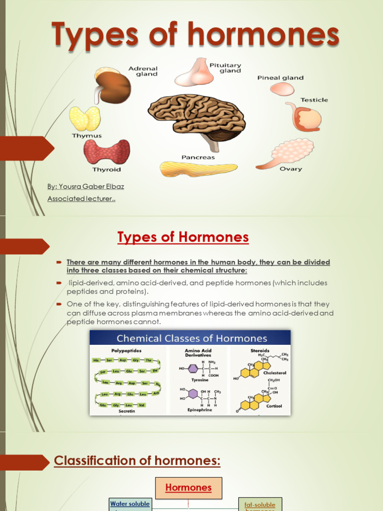Hormone Classification Guide | PDF | Hormone | Glands