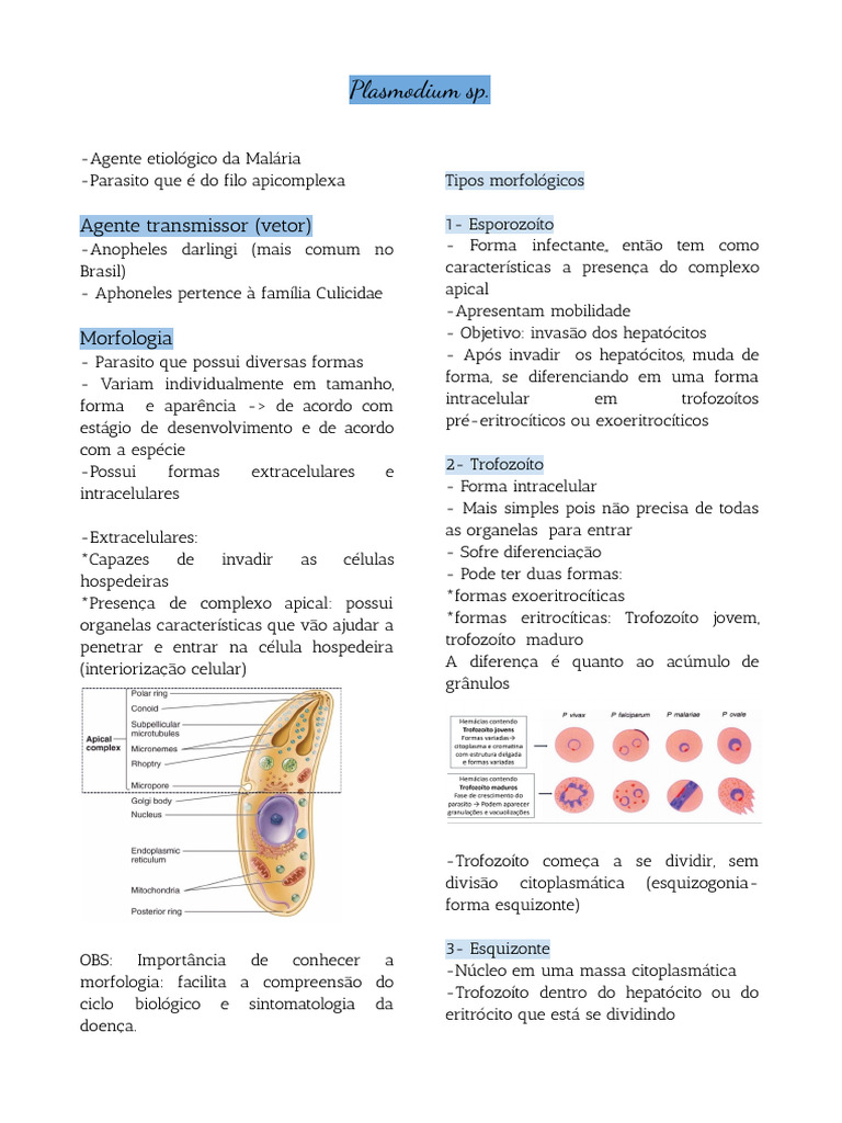 Plasmodium SP | PDF | Malária | Biologia