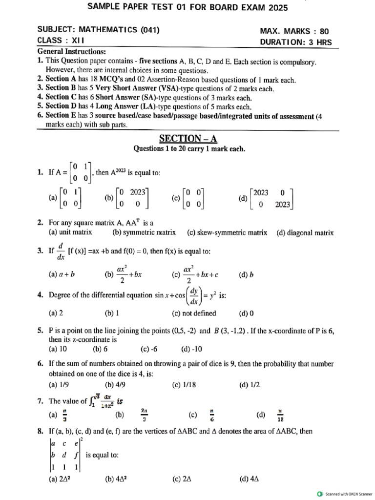 Maths Class Xii Sample Paper Test 01 For Board Exam 2025 QP | PDF