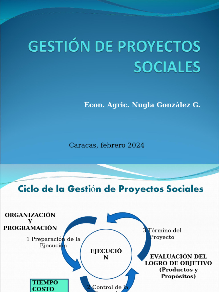 Gestión de Proyectos Sociales | PDF | Gestión de proyectos | Economias