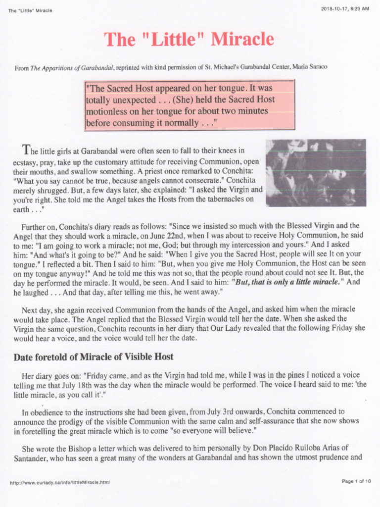 The Little Miracle | PDF